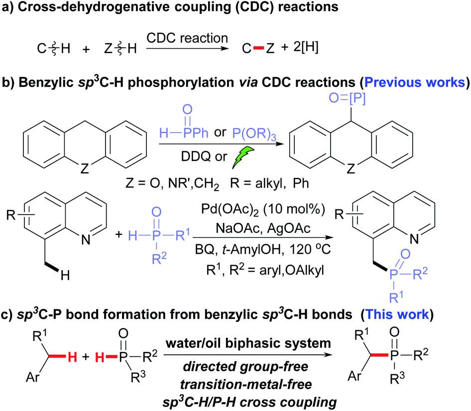 Direct phosphorylation of benzylic C–H bonds under transition metal-free conditions forming sp 3 ...