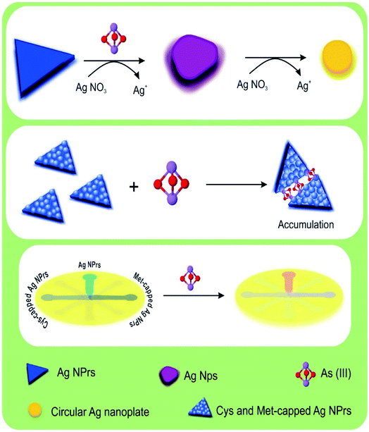 Colorimetric and naked-eye detection of arsenic( iii ) using a paper ...