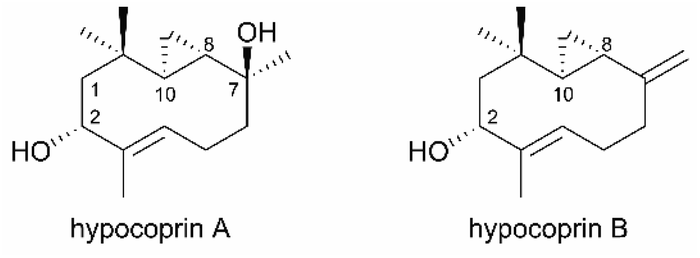Total syntheses of ent -hypocoprin A and ent -hypocoprin B - RSC Advances (RSC Publishing) DOI ...
