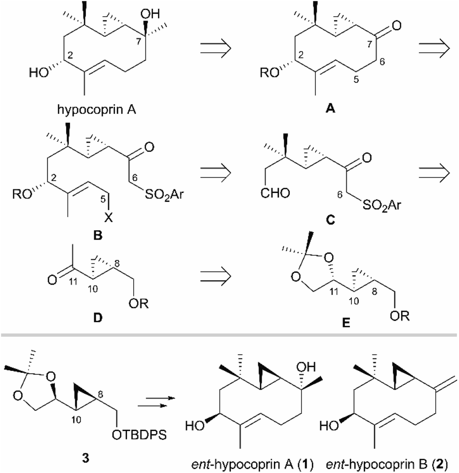 Total syntheses of ent -hypocoprin A and ent -hypocoprin B - RSC Advances (RSC Publishing) DOI ...