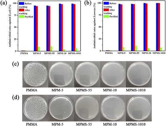 Radical reaction extrusion copolymerization mechanism of MMA and N ...