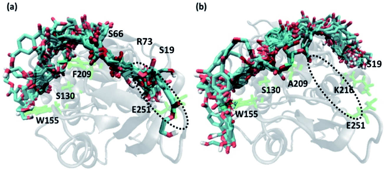 Cation–π and hydrophobic interaction controlled PET recognition in ...