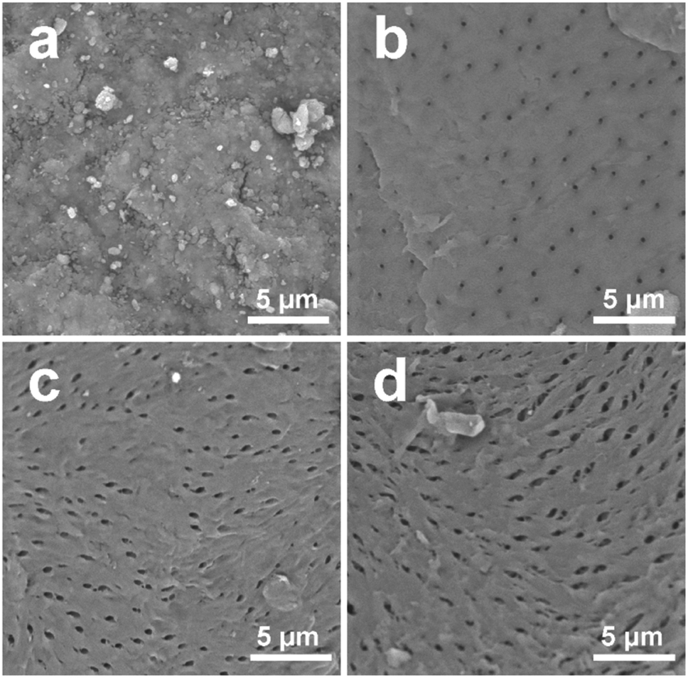 Facile production of chitin from shrimp shells using a deep eutectic ...