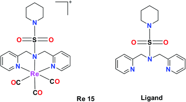 Target-specific mononuclear and binuclear rhenium( i ) tricarbonyl ...