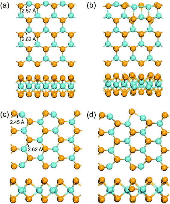Improved nitrogen reduction activity of NbSe 2 tuned by edge chirality ...