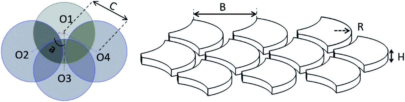 Bionic research on Paramisgurnus dabryanus scales for drag reduction ...