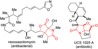 Contra-thermodynamic halolactonization of lactam-tethered 5-aryl-4( E ...
