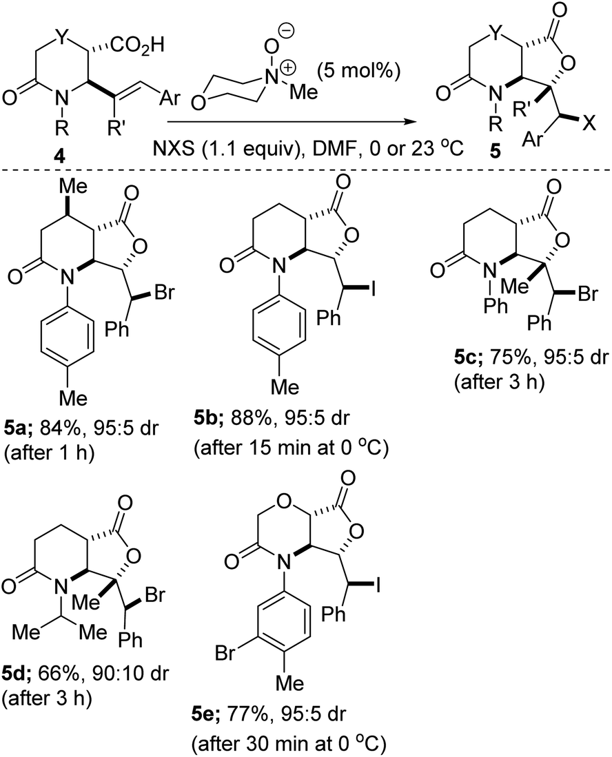Contra-thermodynamic halolactonization of lactam-tethered 5-aryl-4( E ...