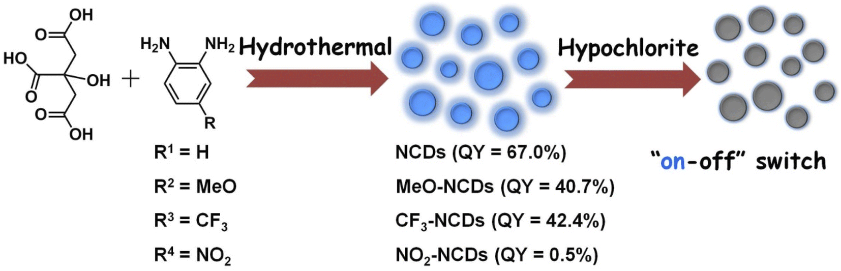 N-doped carbon dots as robust fluorescent probes for the rapid ...