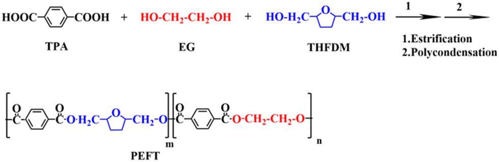 New bio-based polyester with excellent spinning performance: poly ...
