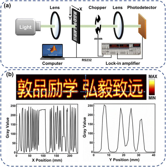 Regulating interface Schottky barriers toward a high-performance self ...
