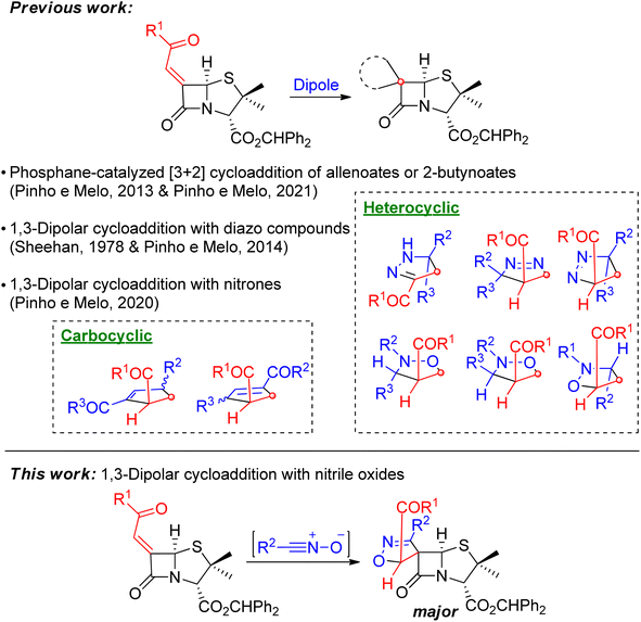 Synthesis of novel chiral spiro-β-lactams from nitrile oxides and 6-( Z ...