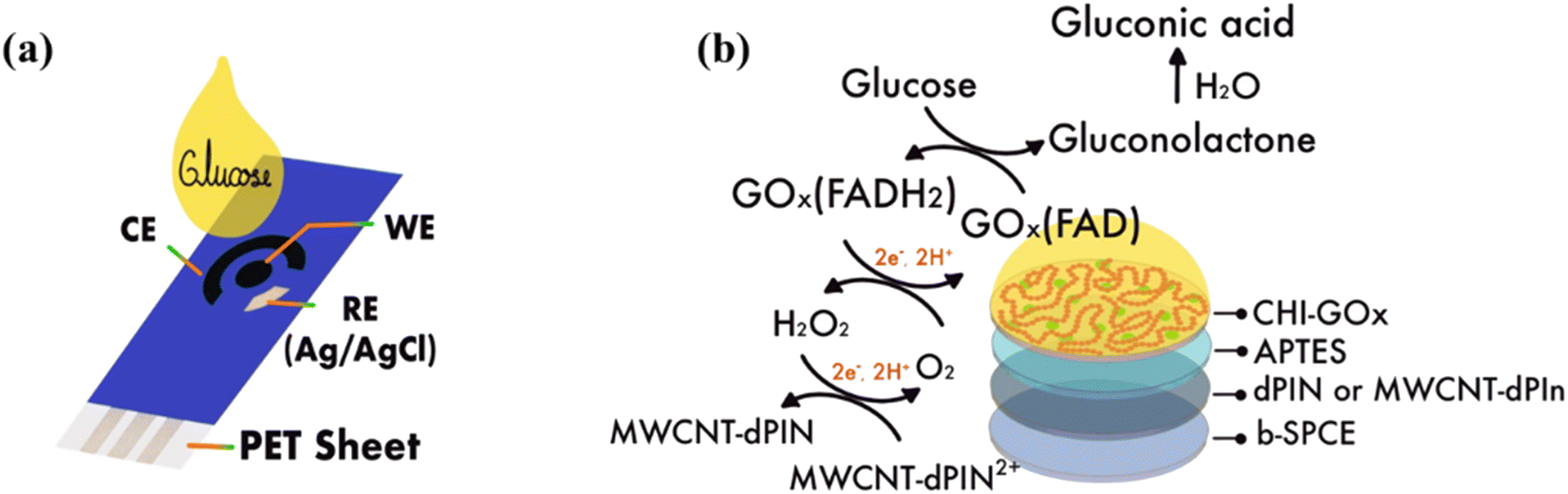 Chronoampermetric detection of enzymatic glucose sensor based on doped ...