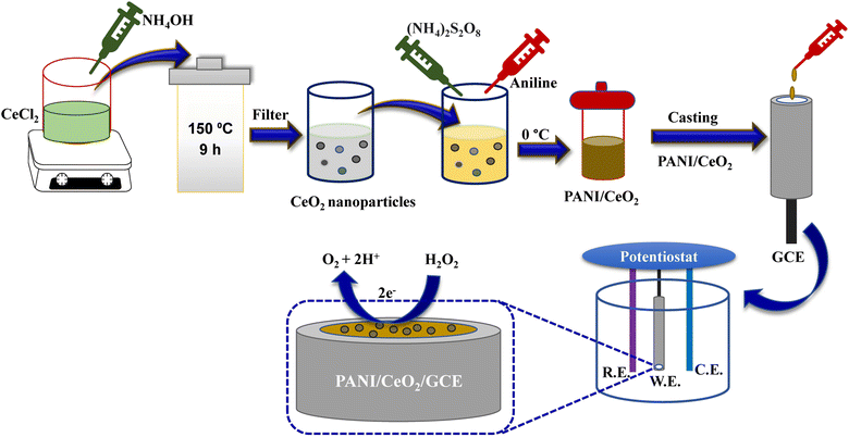 A highly efficient electrochemical sensor containing polyaniline/cerium ...