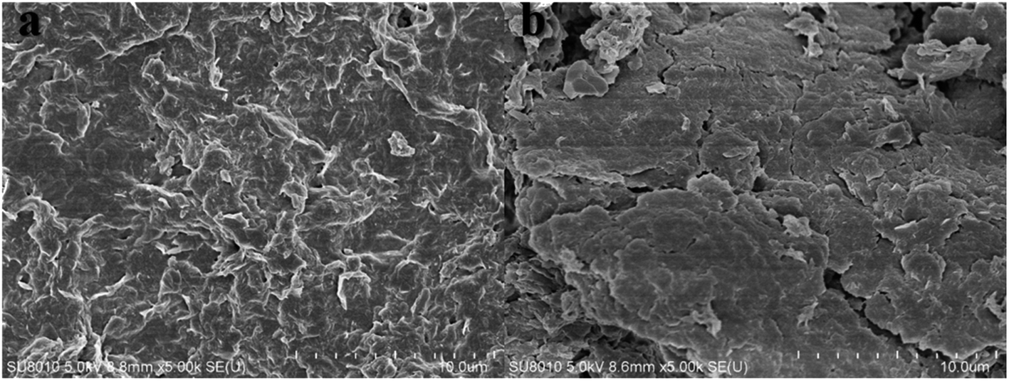 A novel choline chloride/graphene composite as a shale inhibitor for ...