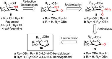 Glycal mediated synthesis of piperidine alkaloids: fagomine, 4- epi ...
