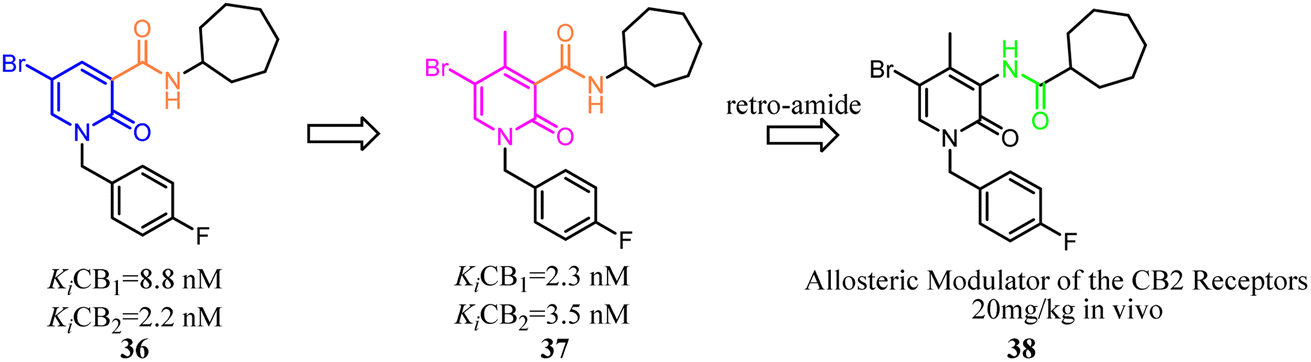 Rational drug design of CB2 receptor ligands: from 2012 to 2021 - RSC ...