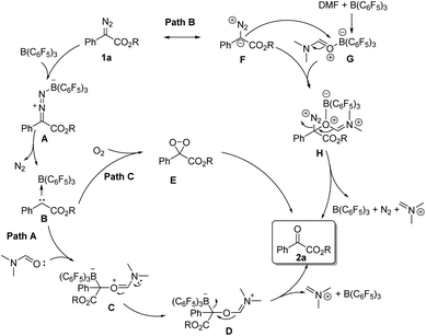 B(C 6 F 5 ) 3 -catalyzed oxidation of α-diazoesters using DMF and ...