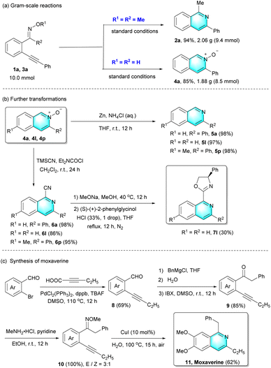 Facile synthesis of isoquinolines and isoquinoline N -oxides via a copper-catalyzed ...