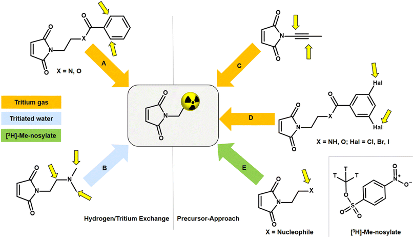 Radiolabelling small and biomolecules for tracking and monitoring - RSC ...