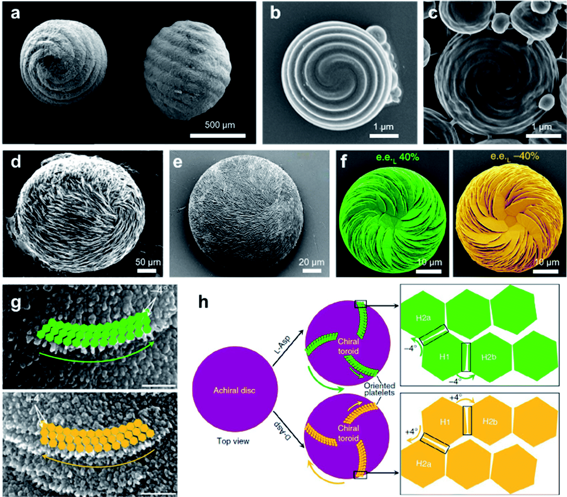 Hierarchical self-assembly into chiral nanostructures - Chemical Science (RSC Publishing) DOI:10 ...