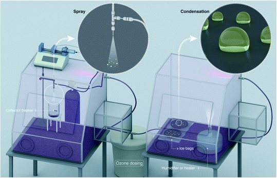 On the formation of hydrogen peroxide in water microdroplets - Chemical ...