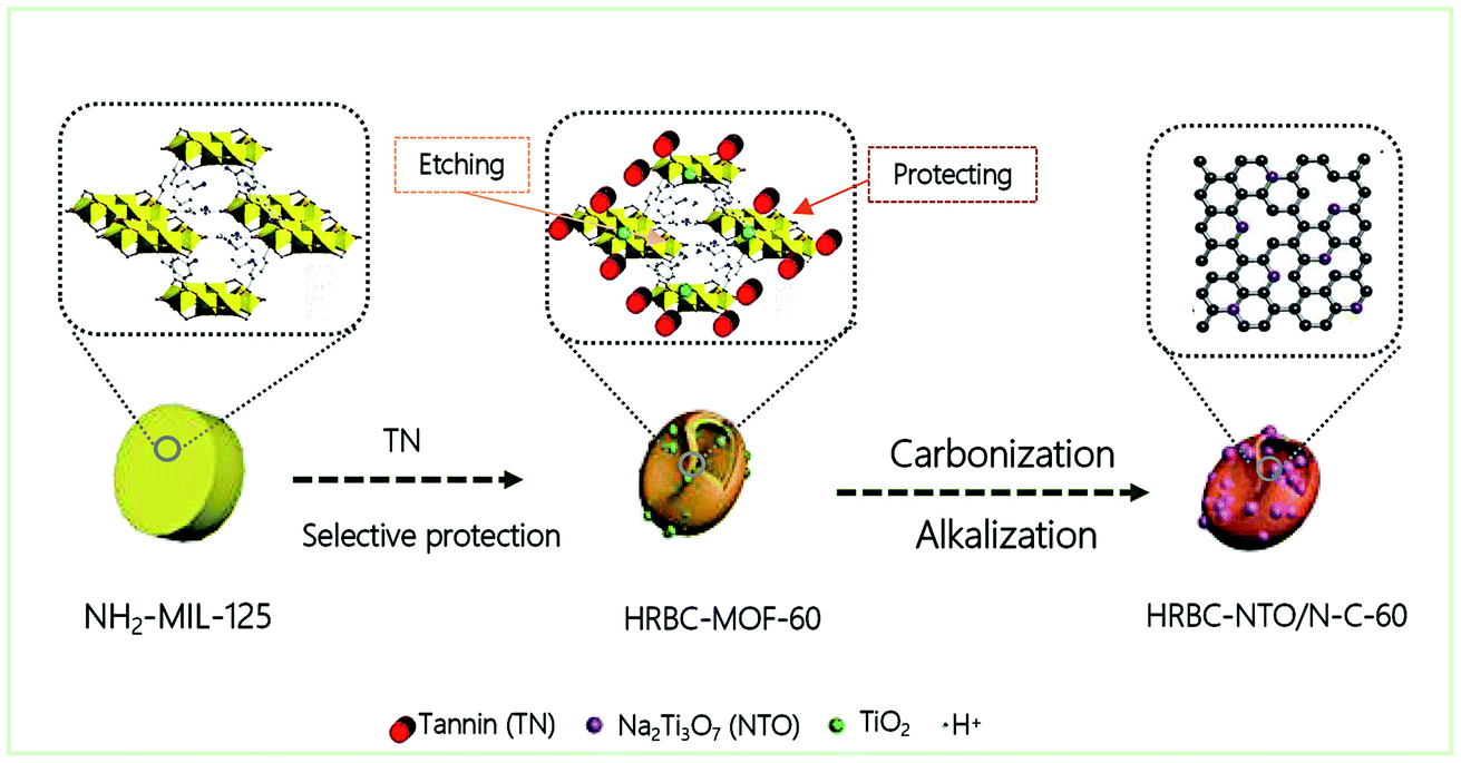 In situ anchor of Na 2 Ti 3 O 7 in nitrogen-rich carbon hollow red blood cell-like structure as ...