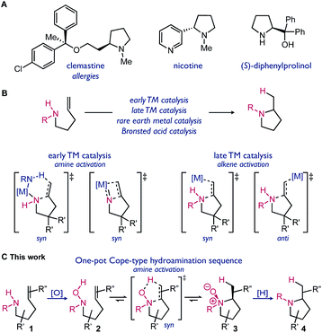 A redox-enabled strategy for intramolecular hydroamination - Chemical ...
