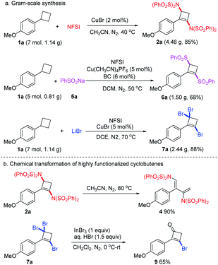 Copper-catalyzed radical cascade reaction of simple cyclobutanes ...