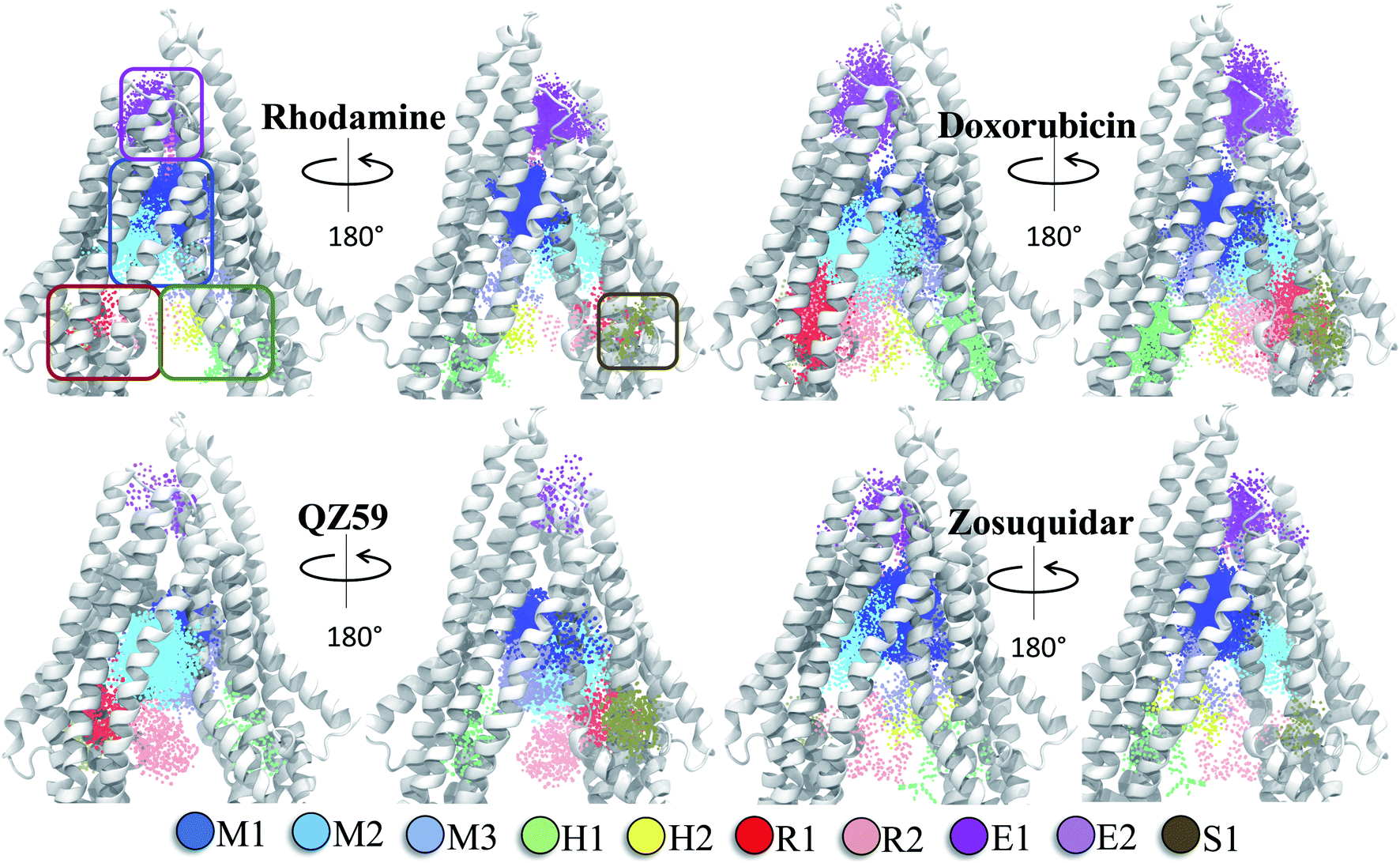 Extended-ensemble docking to probe dynamic variation of ligand binding ...