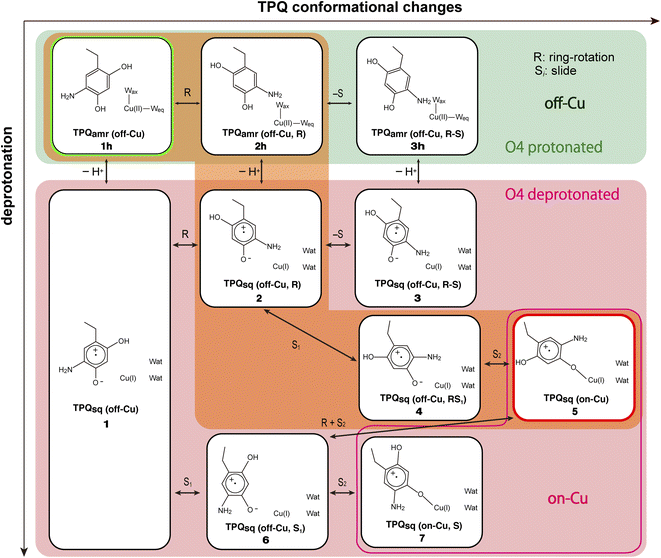 Molecular mechanism of a large conformational change of the quinone ...