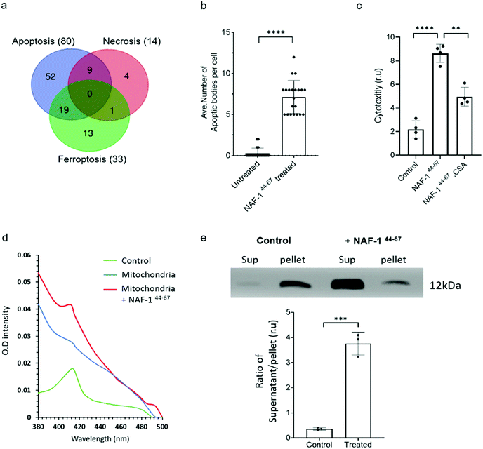 A peptide-derived strategy for specifically targeting the mitochondria ...