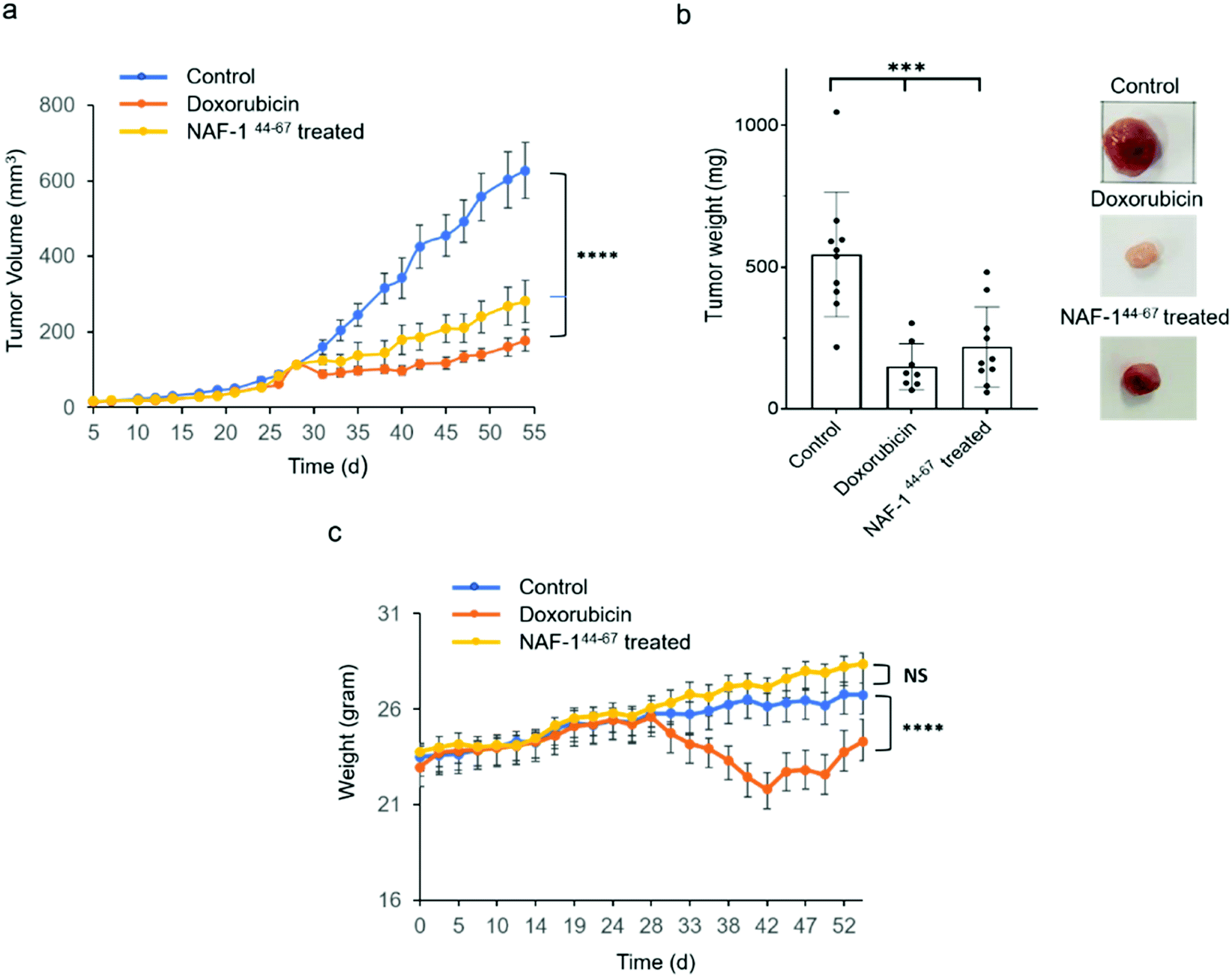 A peptide-derived strategy for specifically targeting the mitochondria ...