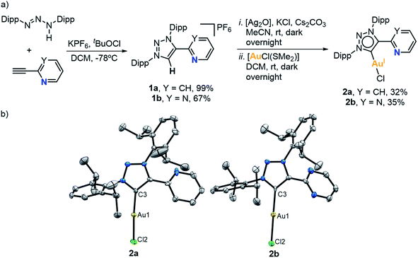 Hemilabile MIC^N ligands allow oxidant-free Au( i )/Au( iii ) arylation ...