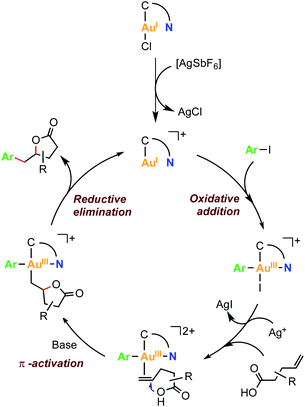 Hemilabile MIC^N ligands allow oxidant-free Au( i )/Au( iii ) arylation ...