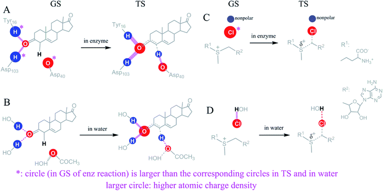 Key difference between transition state stabilization and ground state ...