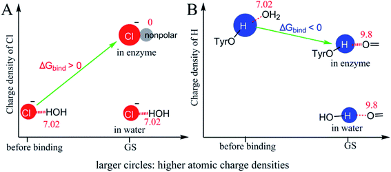 Key difference between transition state stabilization and ground state ...