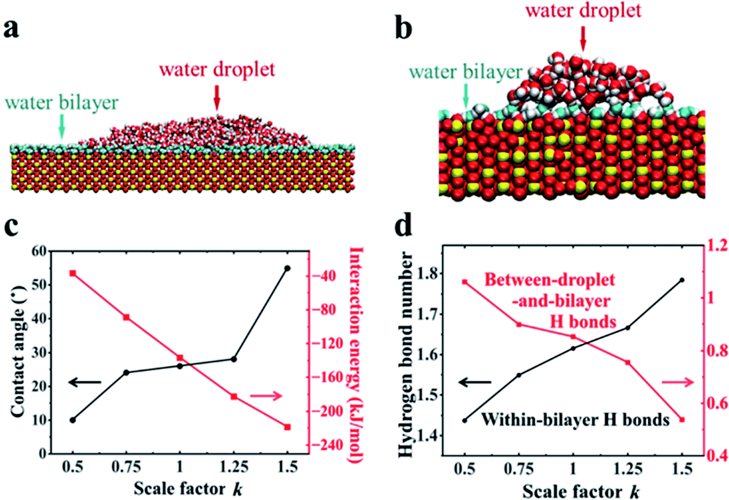 Room temperature bilayer water structures on a rutile TiO 2 (110 ...