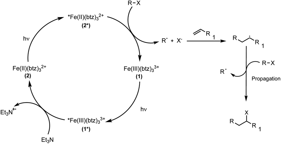 Photoredox catalysis via consecutive 2 LMCT- and 3 MLCT-excitation of ...