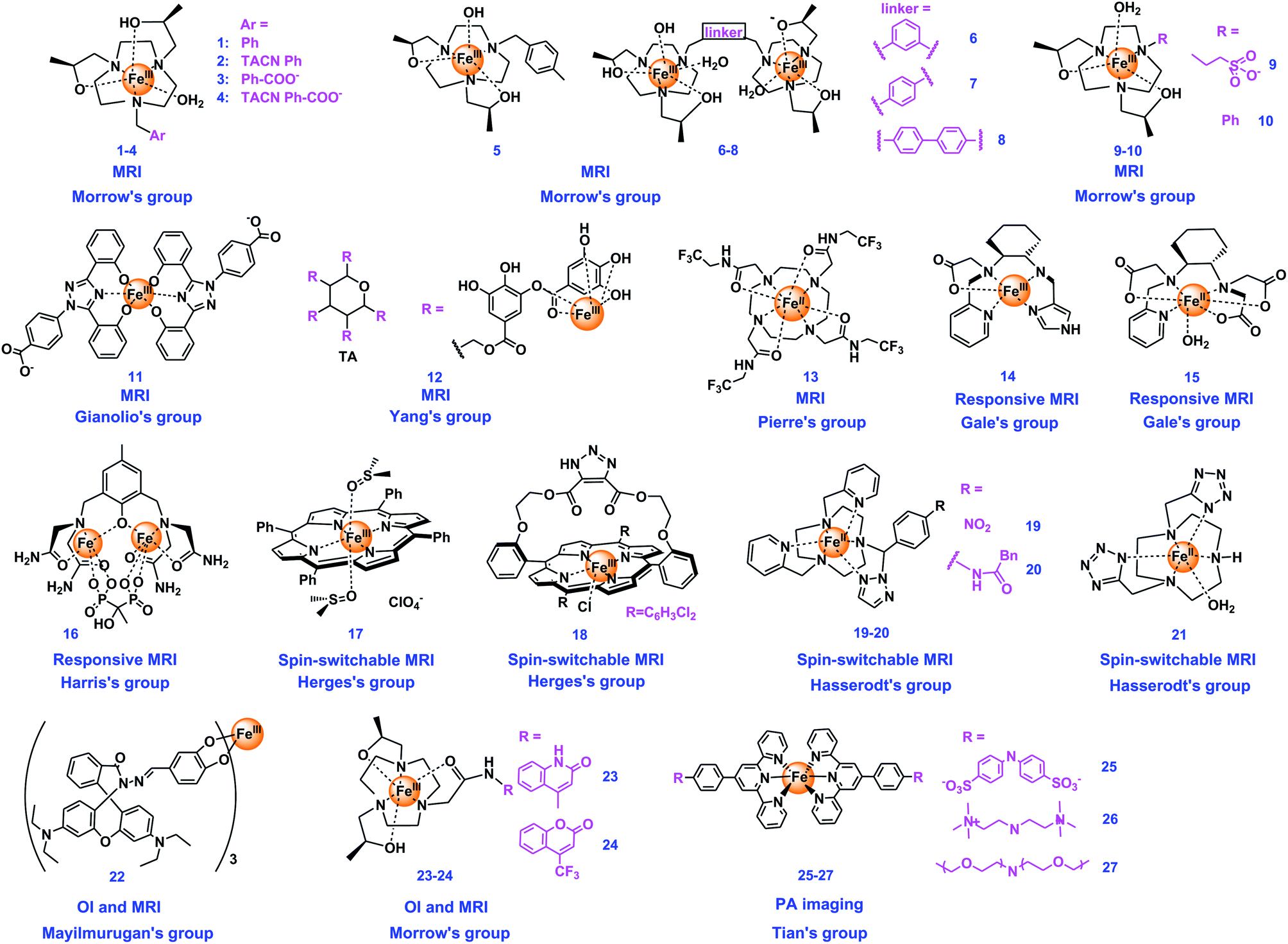Bioimaging agents based on redox-active transition metal complexes ...