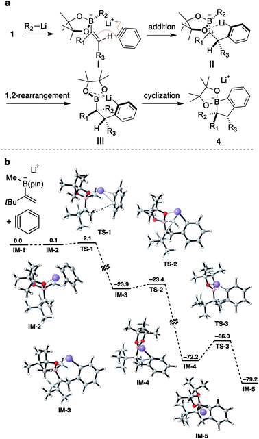Annulative coupling of vinylboronic esters: aryne-triggered 1,2 ...