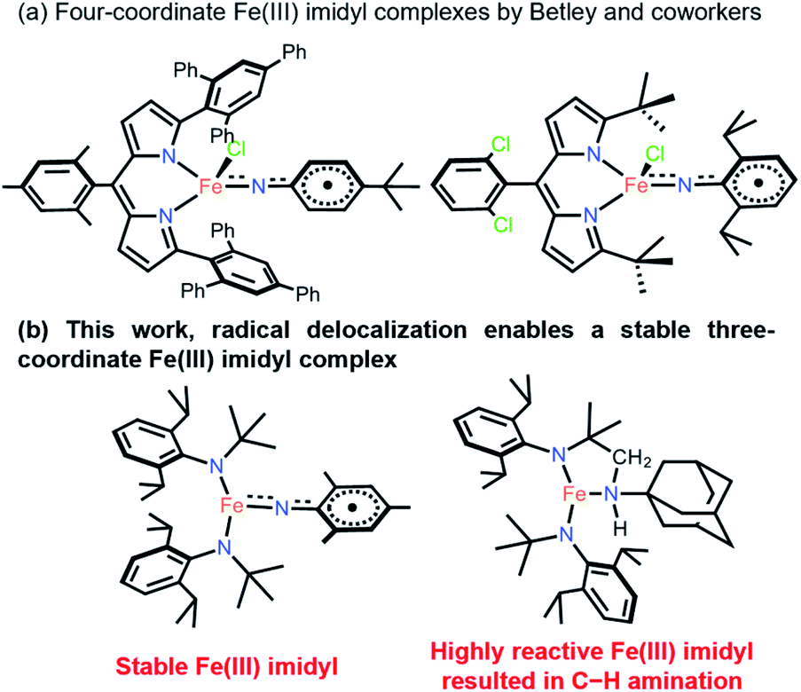 Stabilization of a high-spin three-coordinate Fe( iii ) imidyl complex ...
