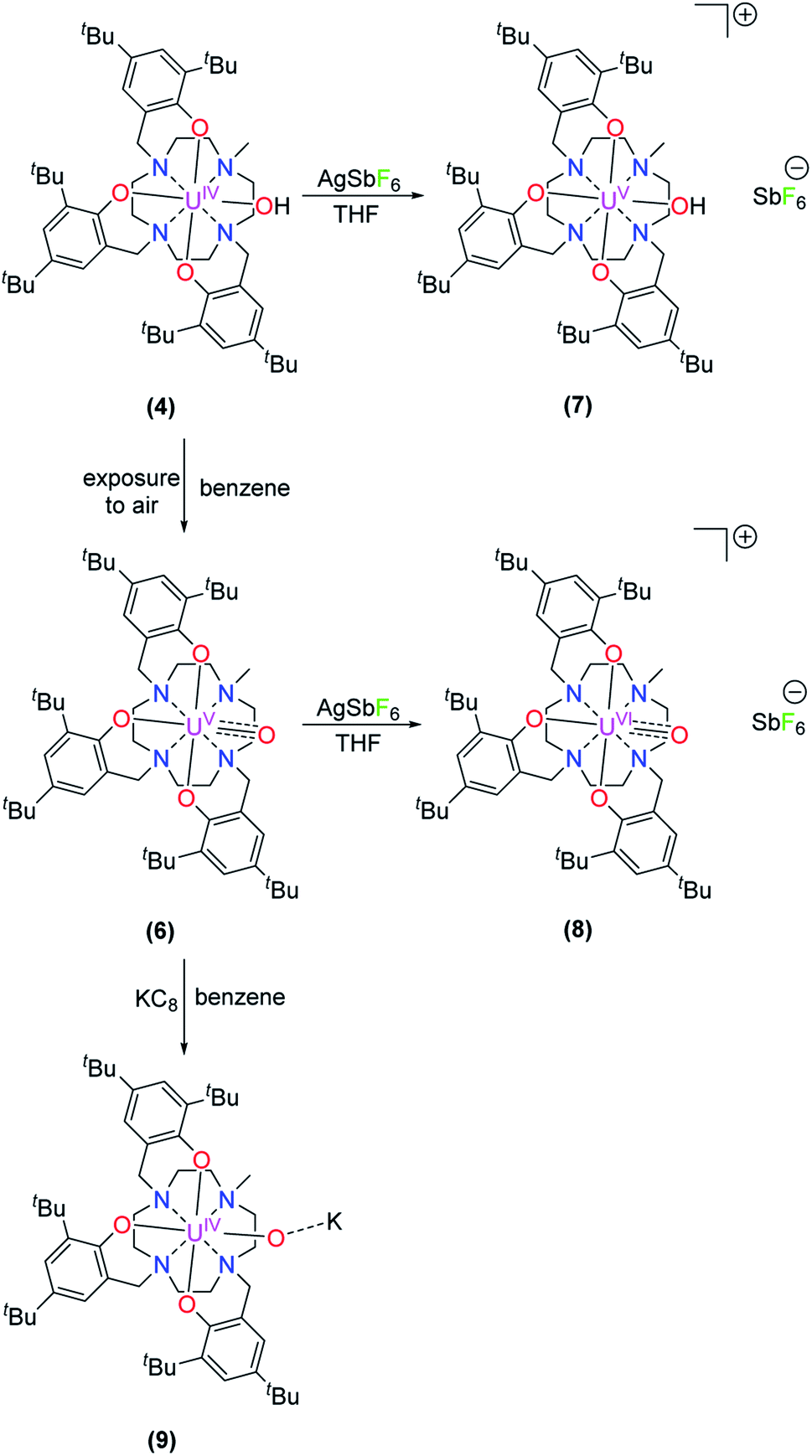 Unprecedented pairs of uranium ( iv / v ) hydroxido and ( iv / v / vi ...