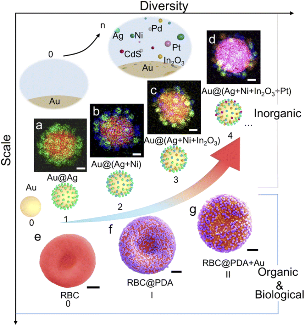 Universal linker-free assembly of core–satellite hetero-superstructures ...