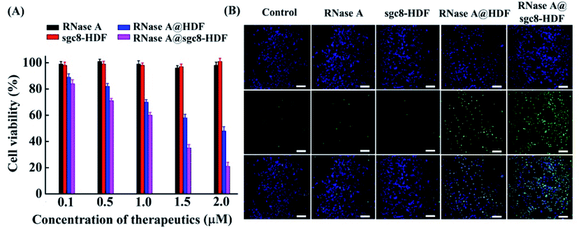 A stimulus-responsive hexahedron DNA framework facilitates targeted and ...