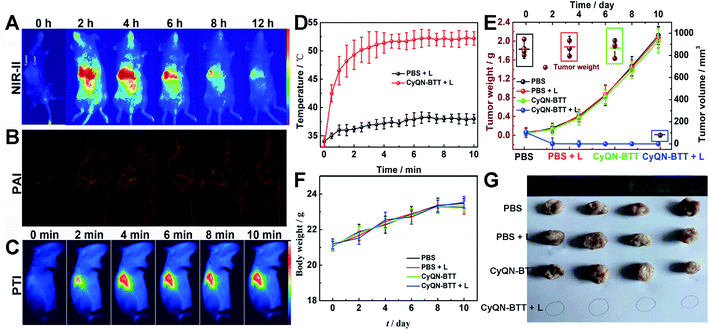 Single-molecule photosensitizers for NIR-II fluorescence and ...