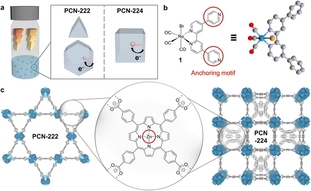Topology- and wavelength-governed CO 2 reduction photocatalysis in ...