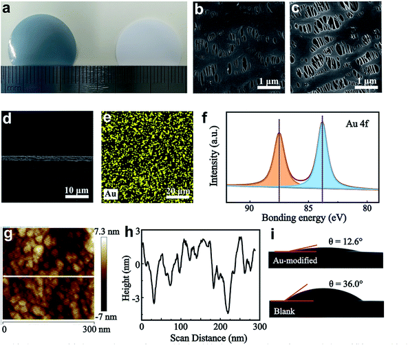 Reversing the dendrite growth direction and eliminating the ...