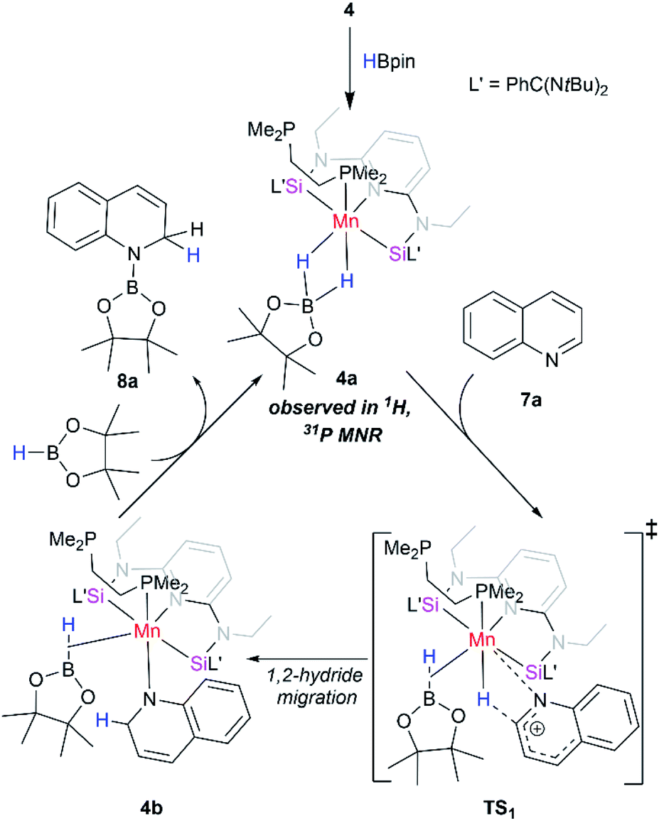 A bis(silylene)pyridine pincer ligand can stabilize mononuclear ...