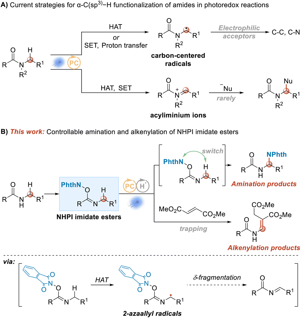 Visible-light-induced dual catalysis for N -α C(sp 3 )–H amination and ...